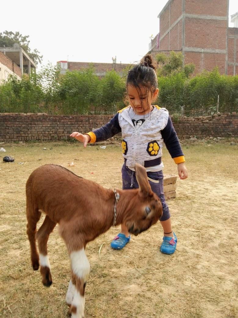 Why play is central to children’s learning and development at ECCE ...