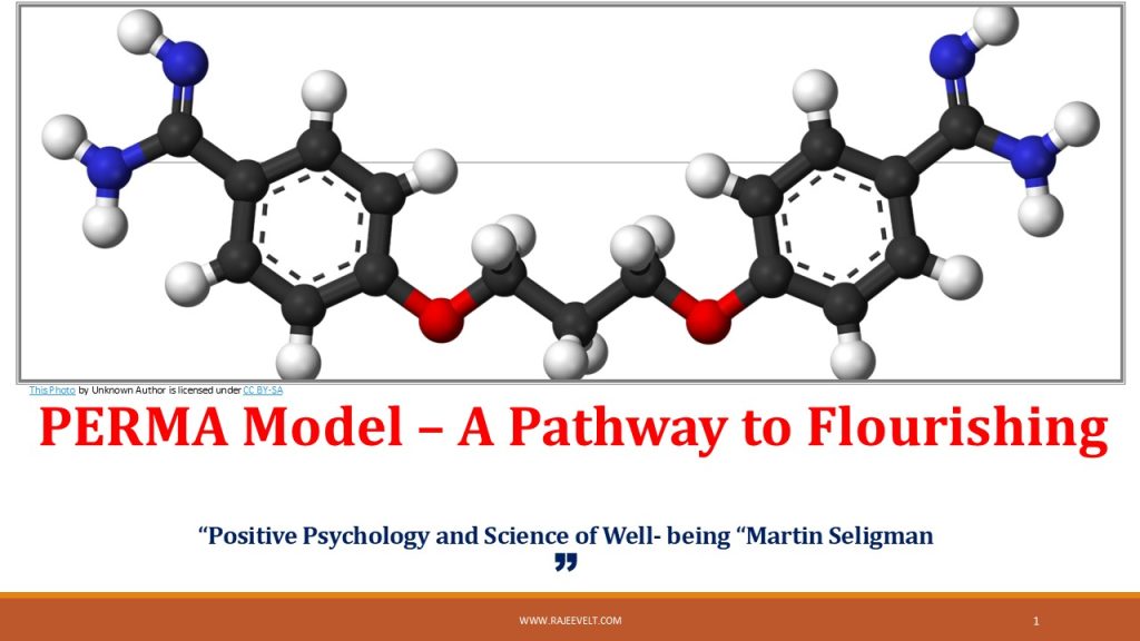 PERMA Model – A Pathway to Flourishing – School Education Solutions